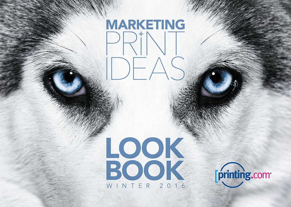 The Wolf is Coming! - Raphael Design